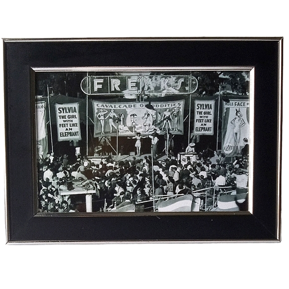 Vintage | Accents | Freakshow Sideshow Carnival Circus Oddity Freaks ...